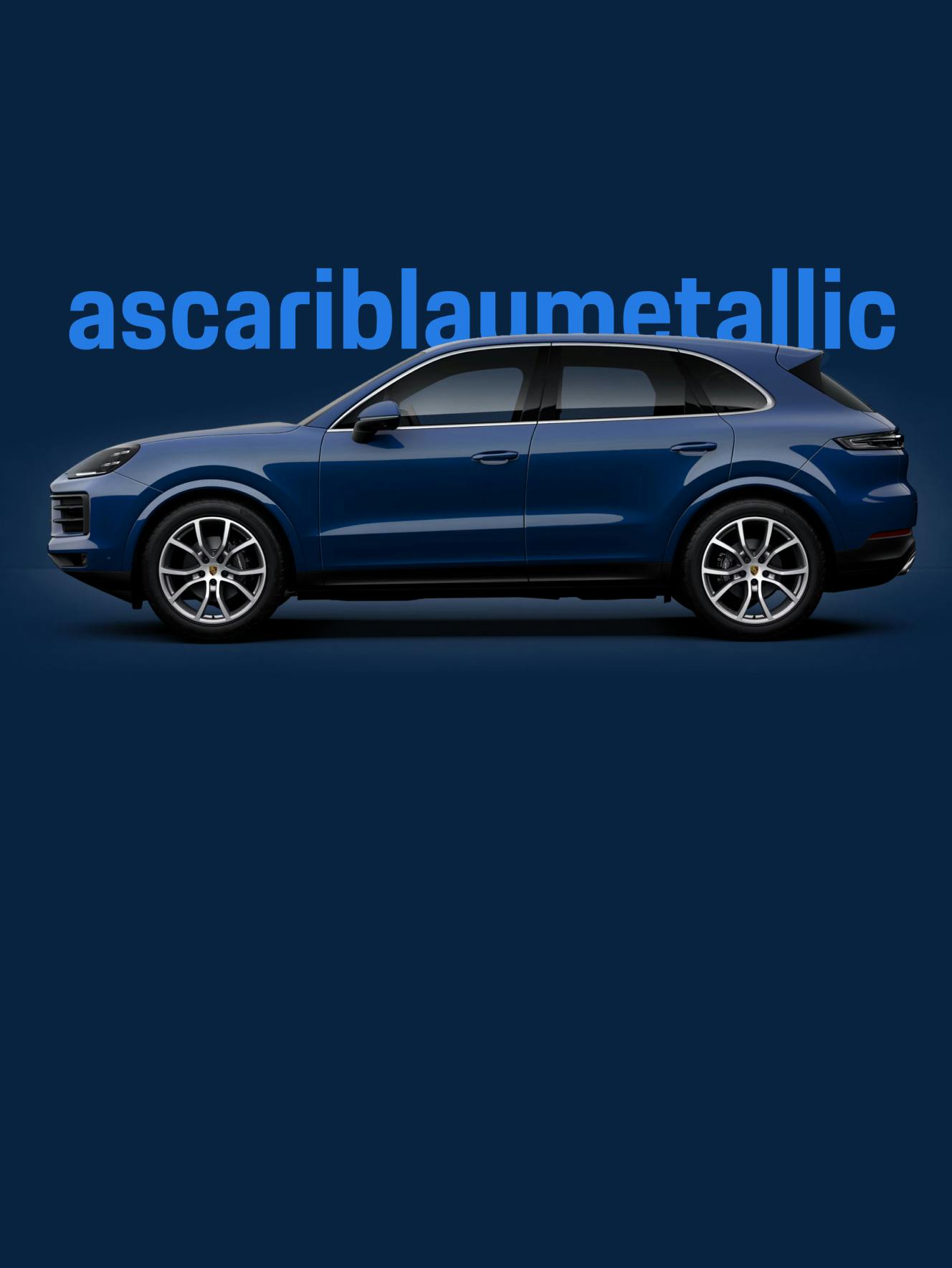 Porsche Cayenne Passion | Porsche China